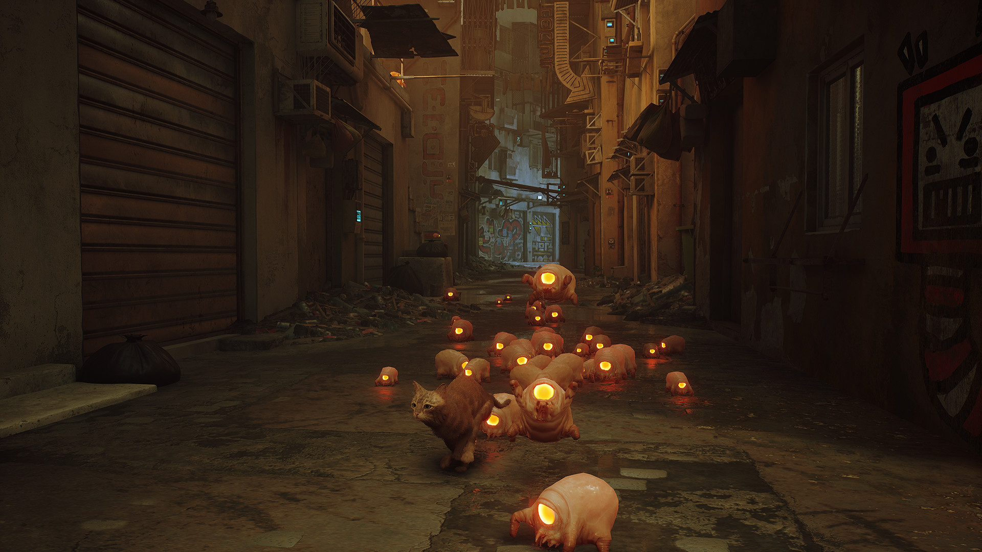 stray官网-stray游戏steam官网地址-多特游戏