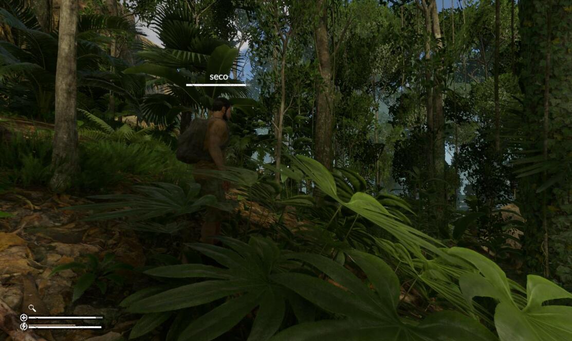 丛林地狱Green HellV2.0.6中文完整硬盘版局域网联机教程-多特游戏